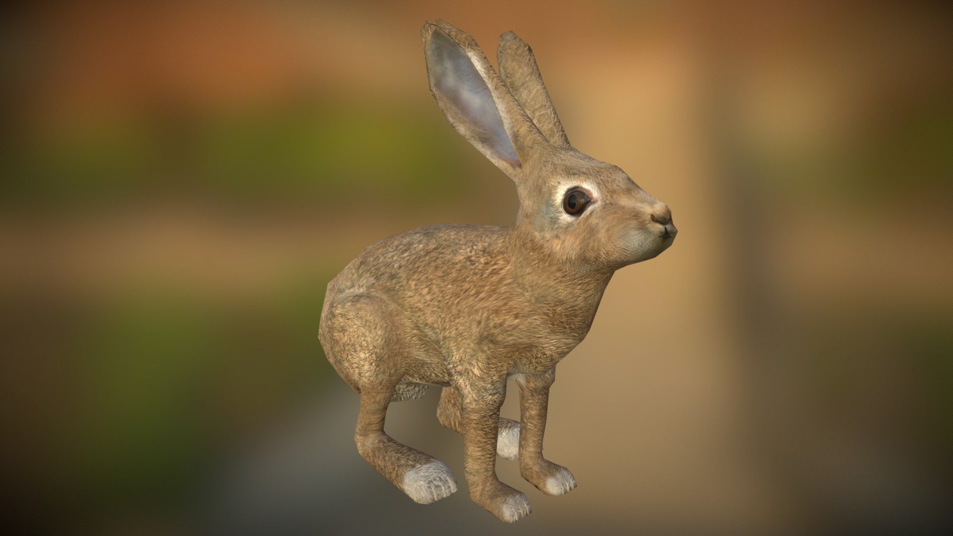 Hare - 3D model by Dokyo [cbdfa51] - Sketchfab