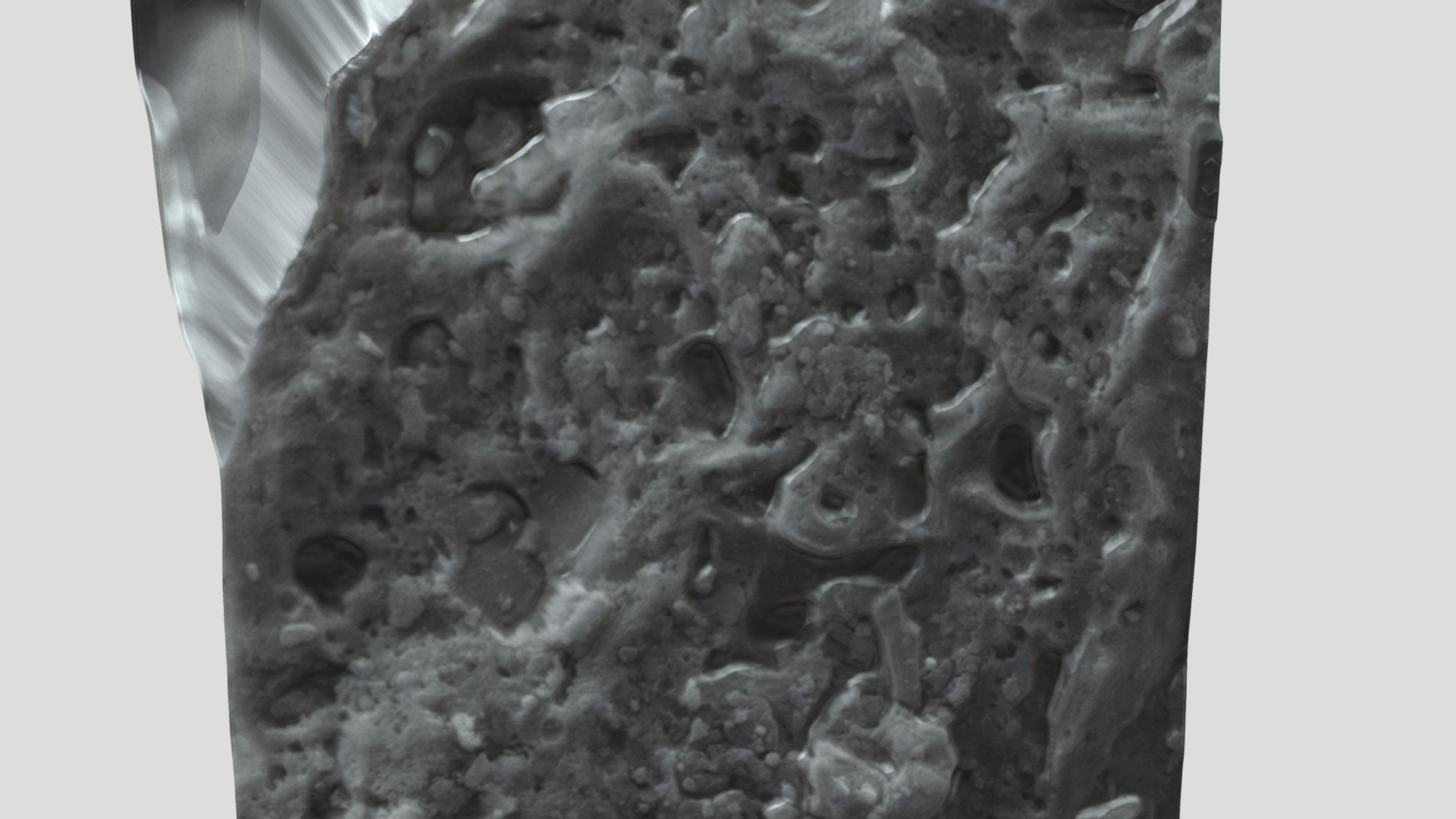 Microfossil 8 - Download Free 3D model by Mars_Pics (@belkessam.amine ...