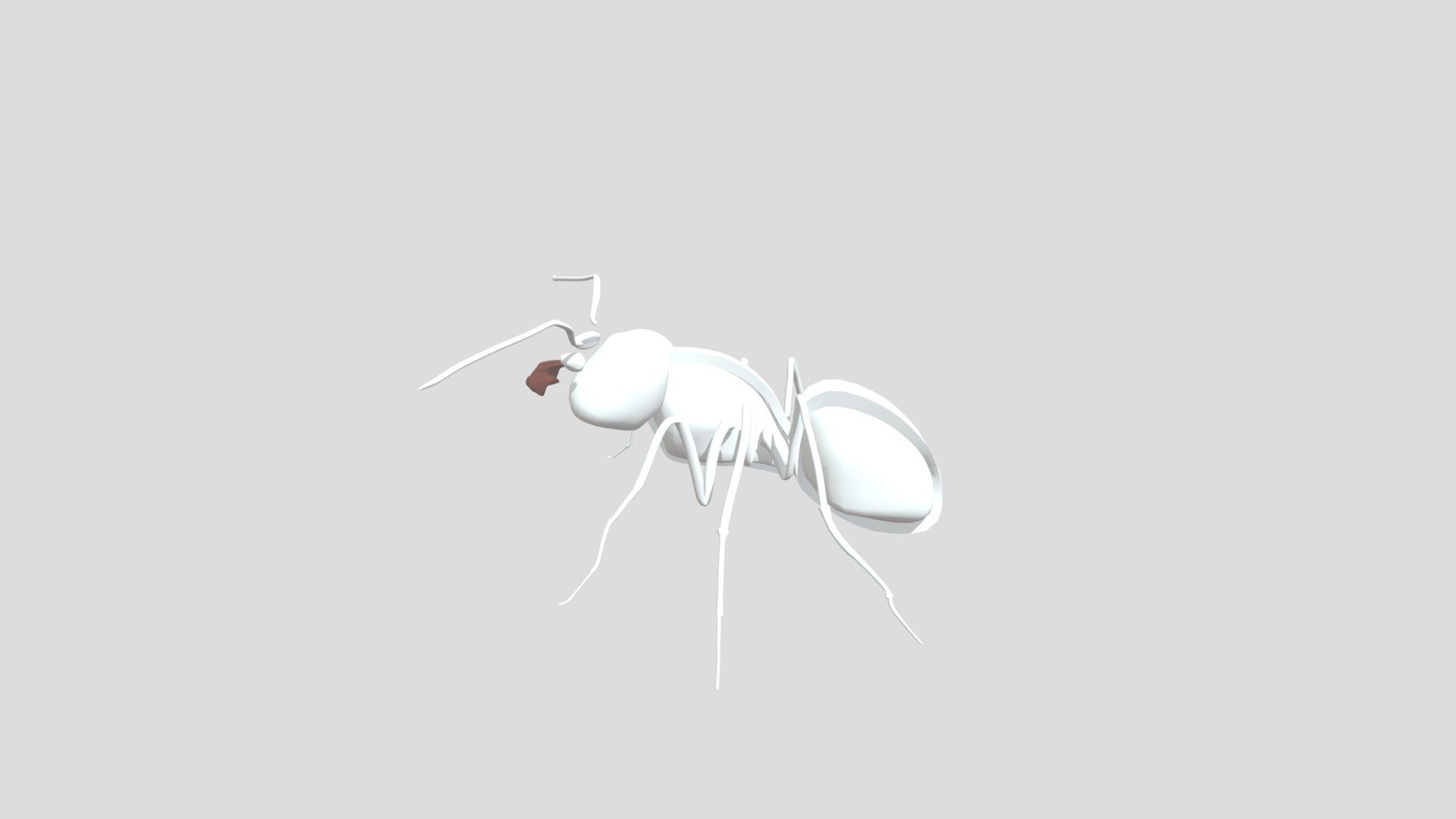 Demarest, Sofie Broken Ant 3D view - 3D model by _albedo [cc06c6b ...