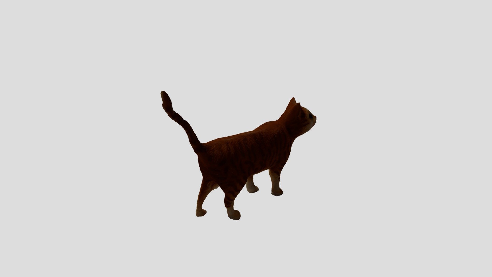 Gato - 3D model by cse.matos [cc08c93] - Sketchfab