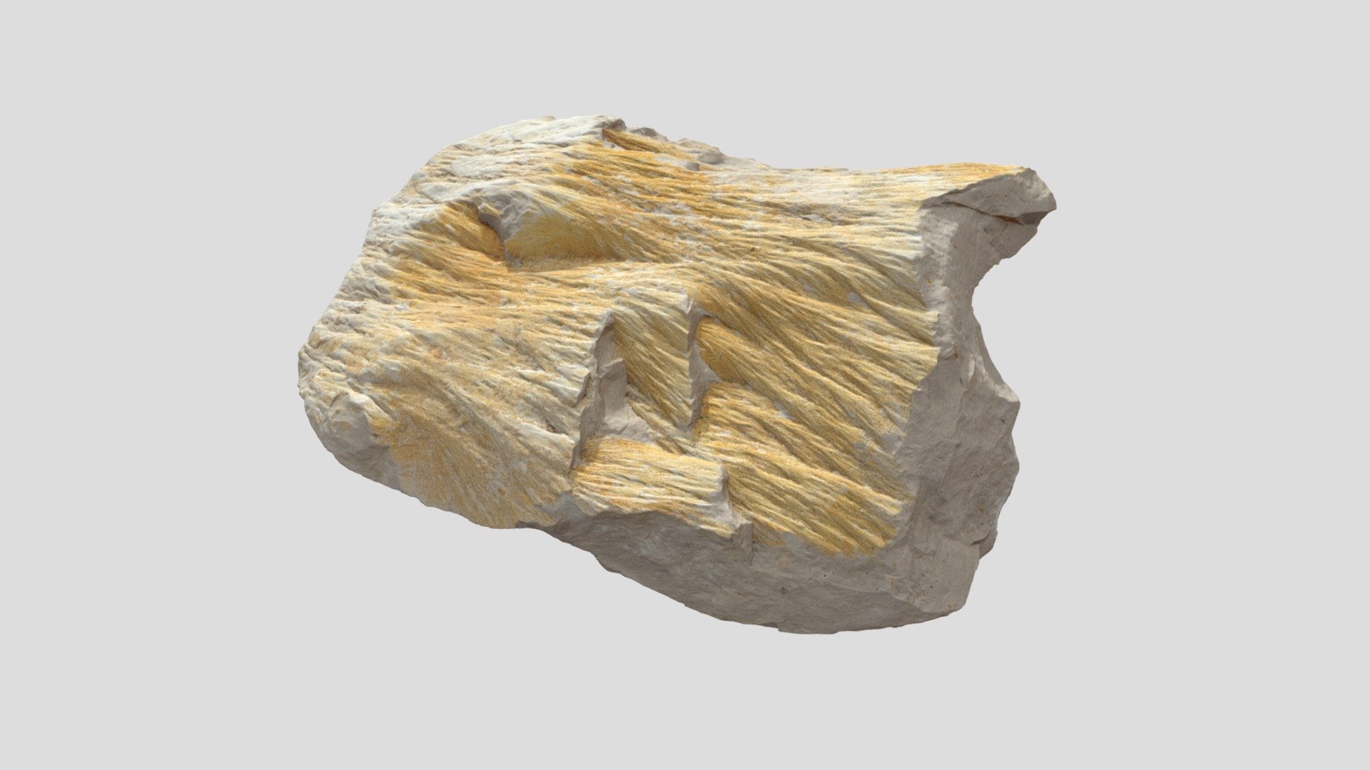 Limestone with shatter cones ("Strahlenkalk") - Download Free 3D model ...