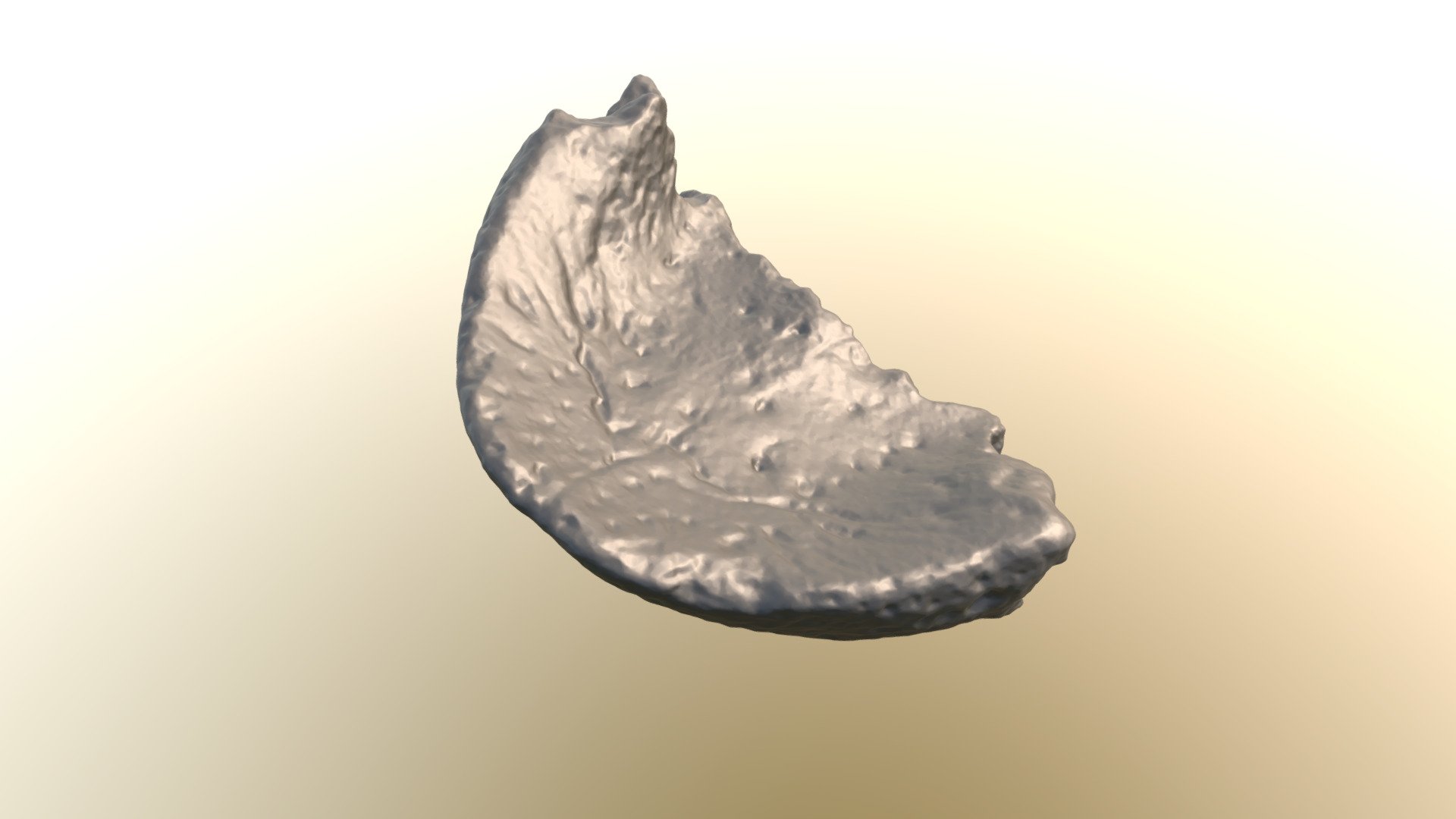 Euclastes extinct sea turtle beak CCNHM 552 - Download Free 3D model by ...