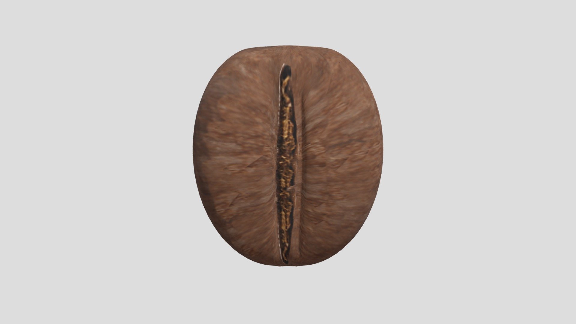 Coffee Beans 3D Model - Download Free 3D model by Ephrem_art_ [cc0c5dd] - Sketchfab