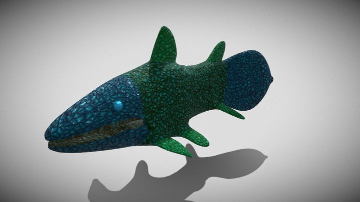 Coelacanth 3D models - Sketchfab