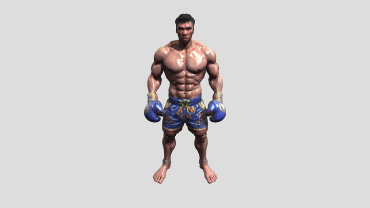 Boxing 3D models - Sketchfab