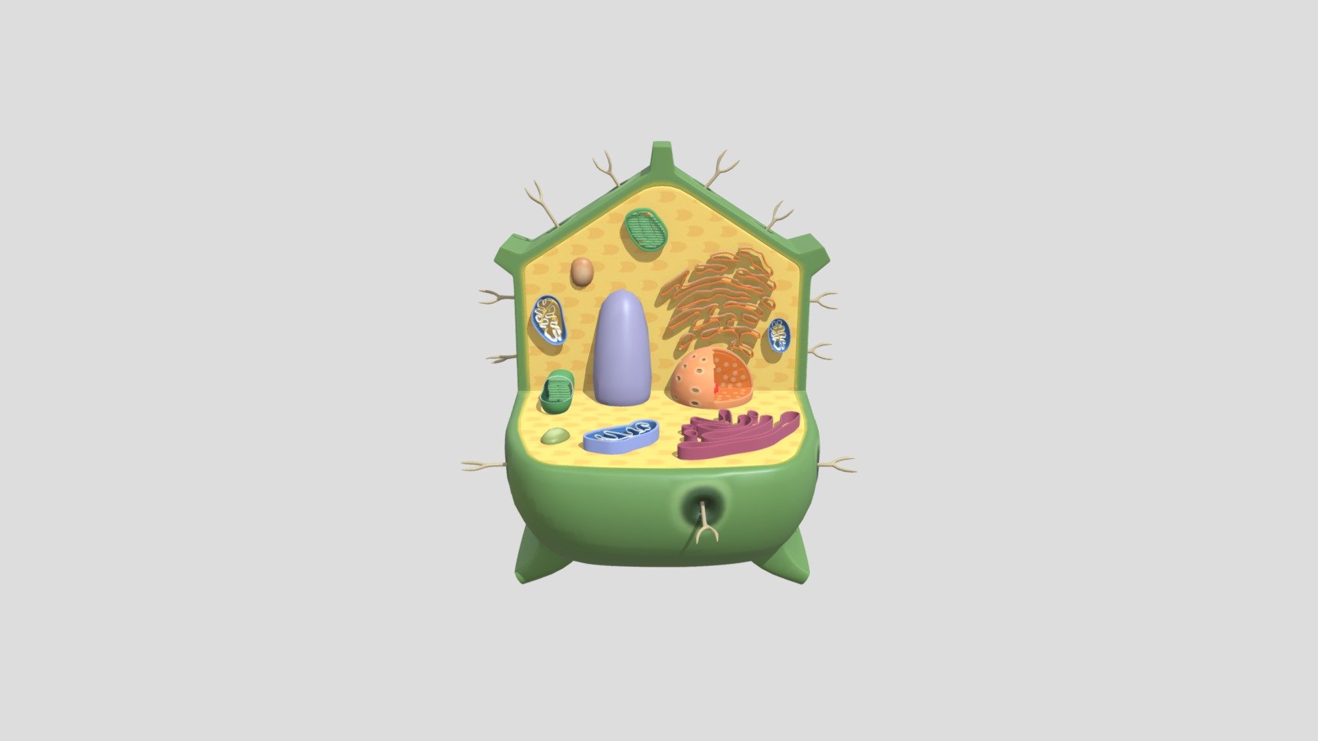 Plantcell High poly - 3D model by CNU (@srinunaidu78421) [cc1269c ...