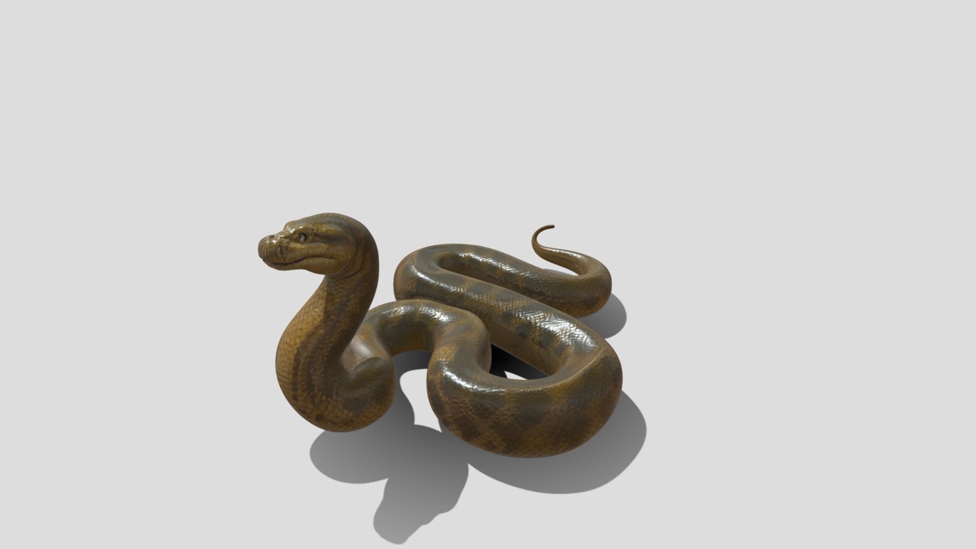 MÔ HÌNH TRĂN TITANOBOA - 3D model by neobiolab (@elibrary) [cc14456] - Sketchfab