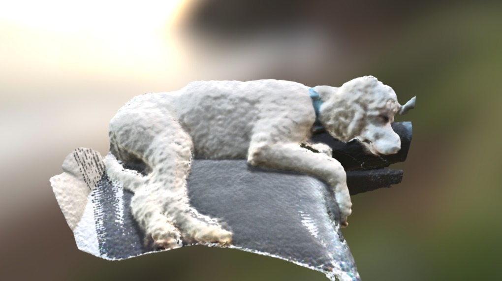 Charlie the Office Pup - Download Free 3D model by Scandy [cc170ad ...