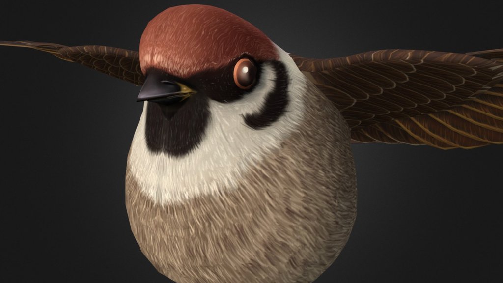 Sparrow - 3D model by cgwings (@chandansingh512) [cc1afb4] - Sketchfab