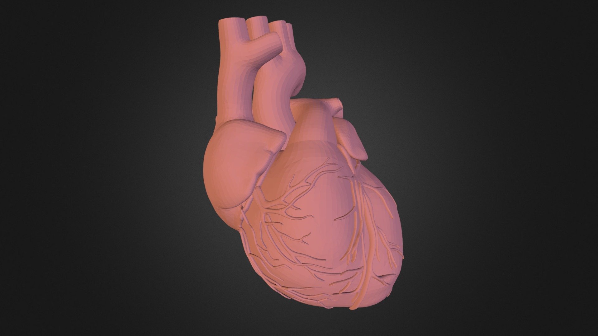 Heart - Download Free 3D model by gultimate [cc238df] - Sketchfab