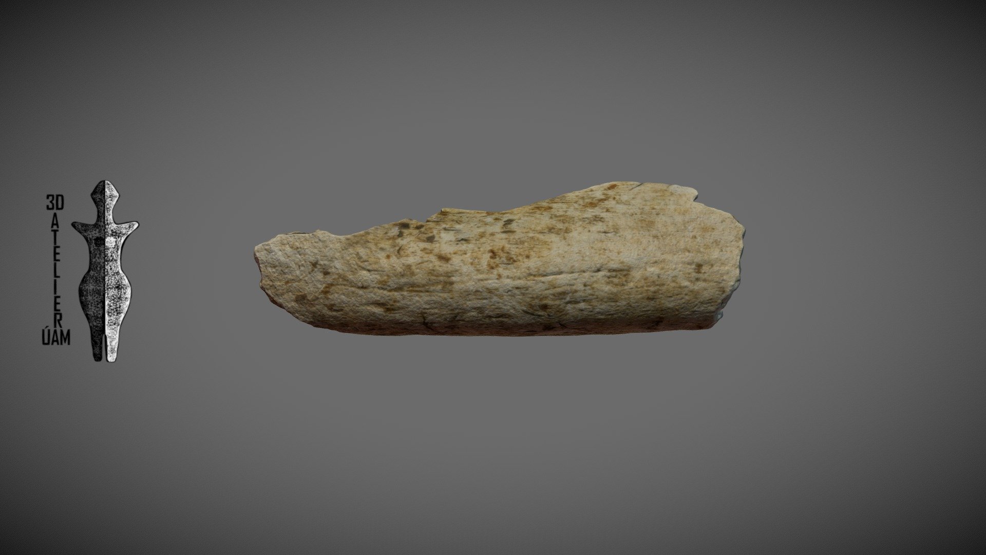 PRASL_H64_long_bone - 3D model by 3D atelier ÚAM (@vojtanosek) [cc25dd3 ...