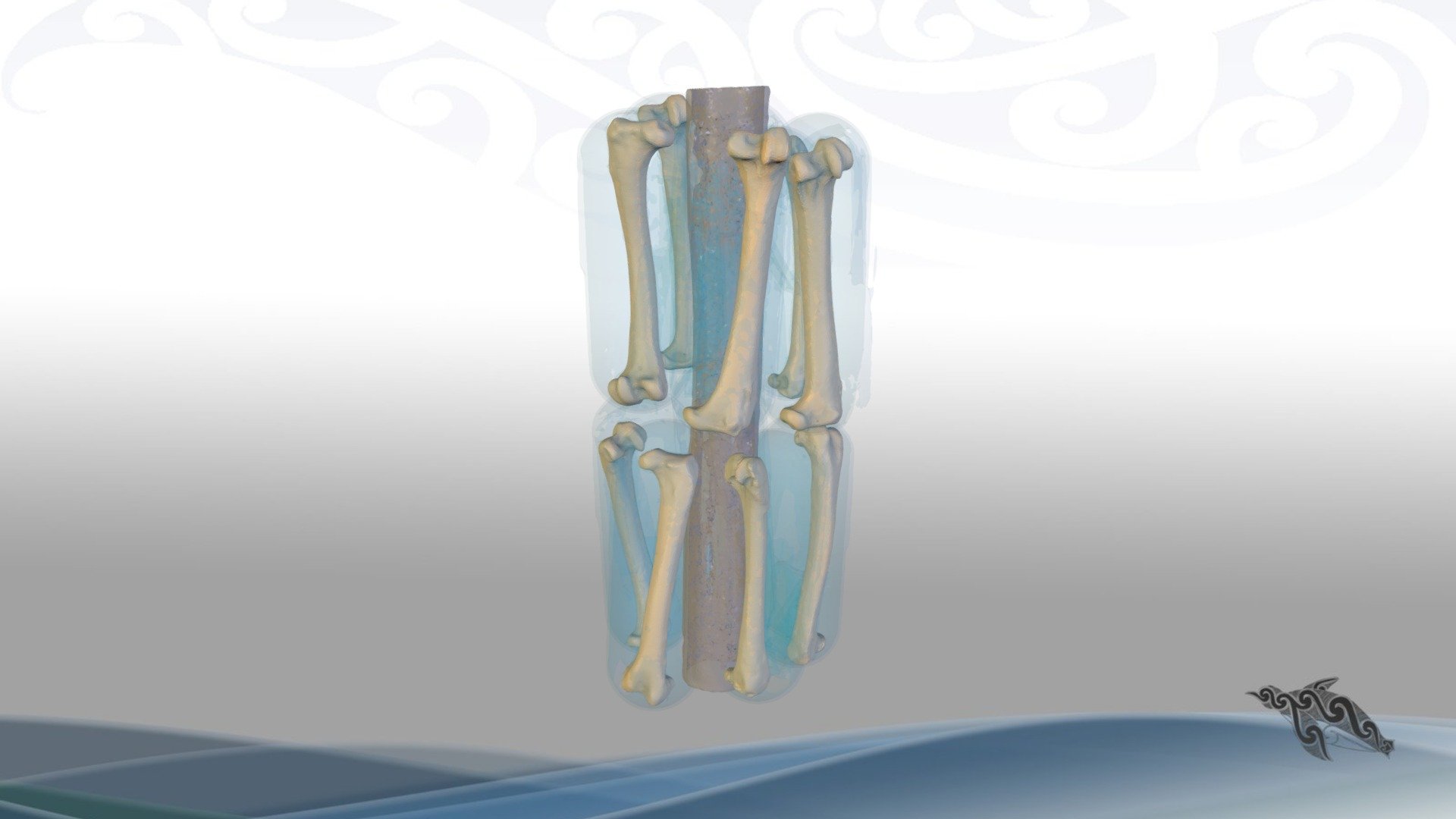 Imaging multiple small bones with micro CT - 3D model by nzfauna ...
