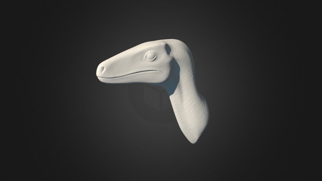 Raptor - 3D model by ailesdevu [cc38df9] - Sketchfab