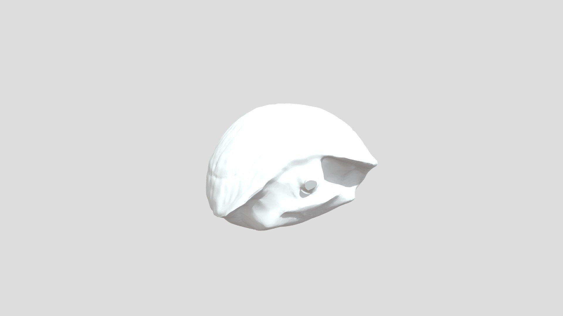 White turtle shell - Download Free 3D model by KADesign [cc3b1e6] - Sketchfab