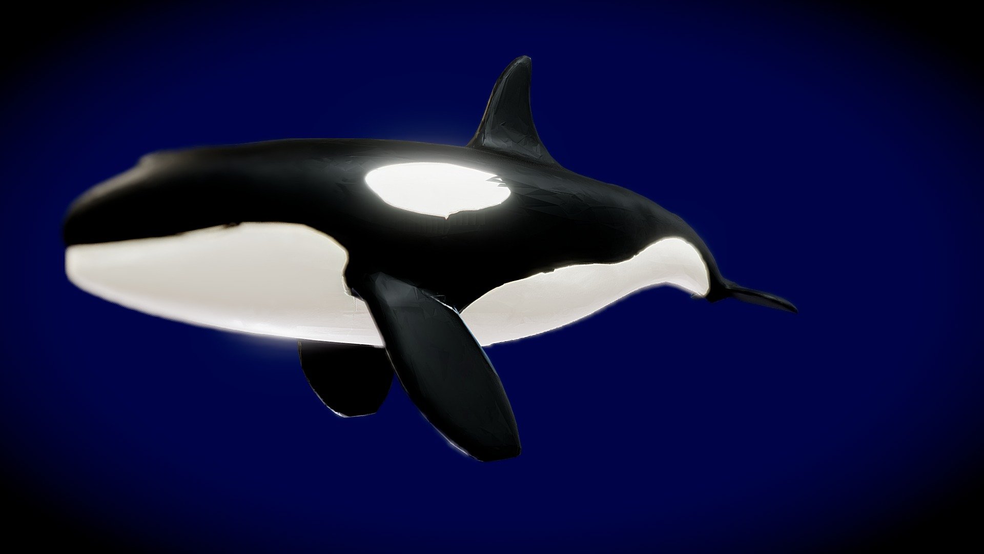 Orca - 3D model by Anees Animates (@AneesAnimates) [cc3f1fc] - Sketchfab
