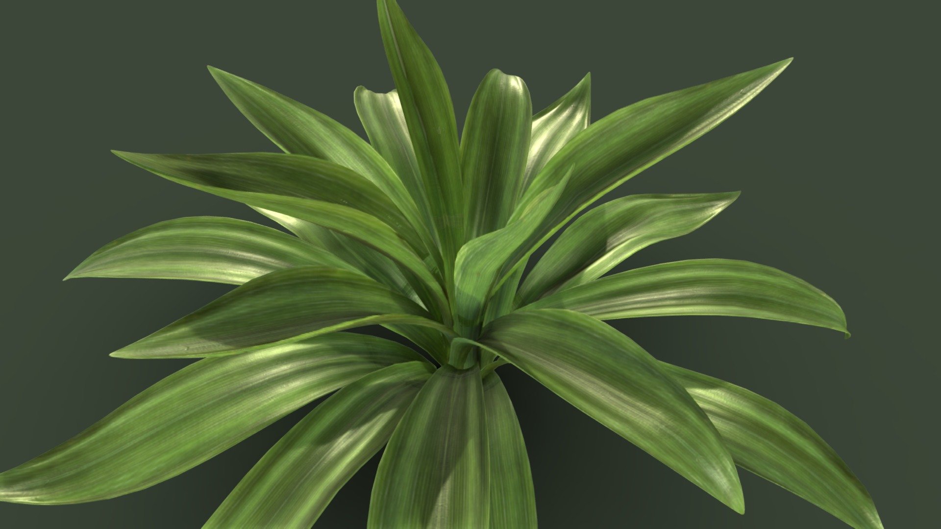 Nature Small Plant - 3D model by Kailash H Kanojia (@KailashHKanojia ...