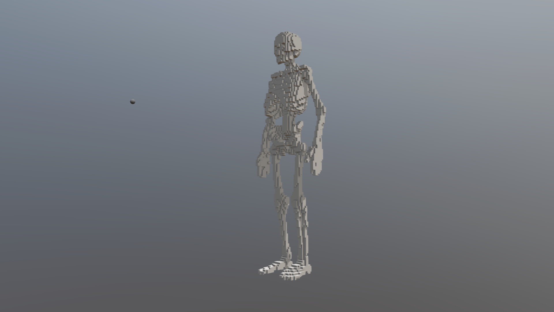 Squelette - 3D model by Algahron [cc4402d] - Sketchfab