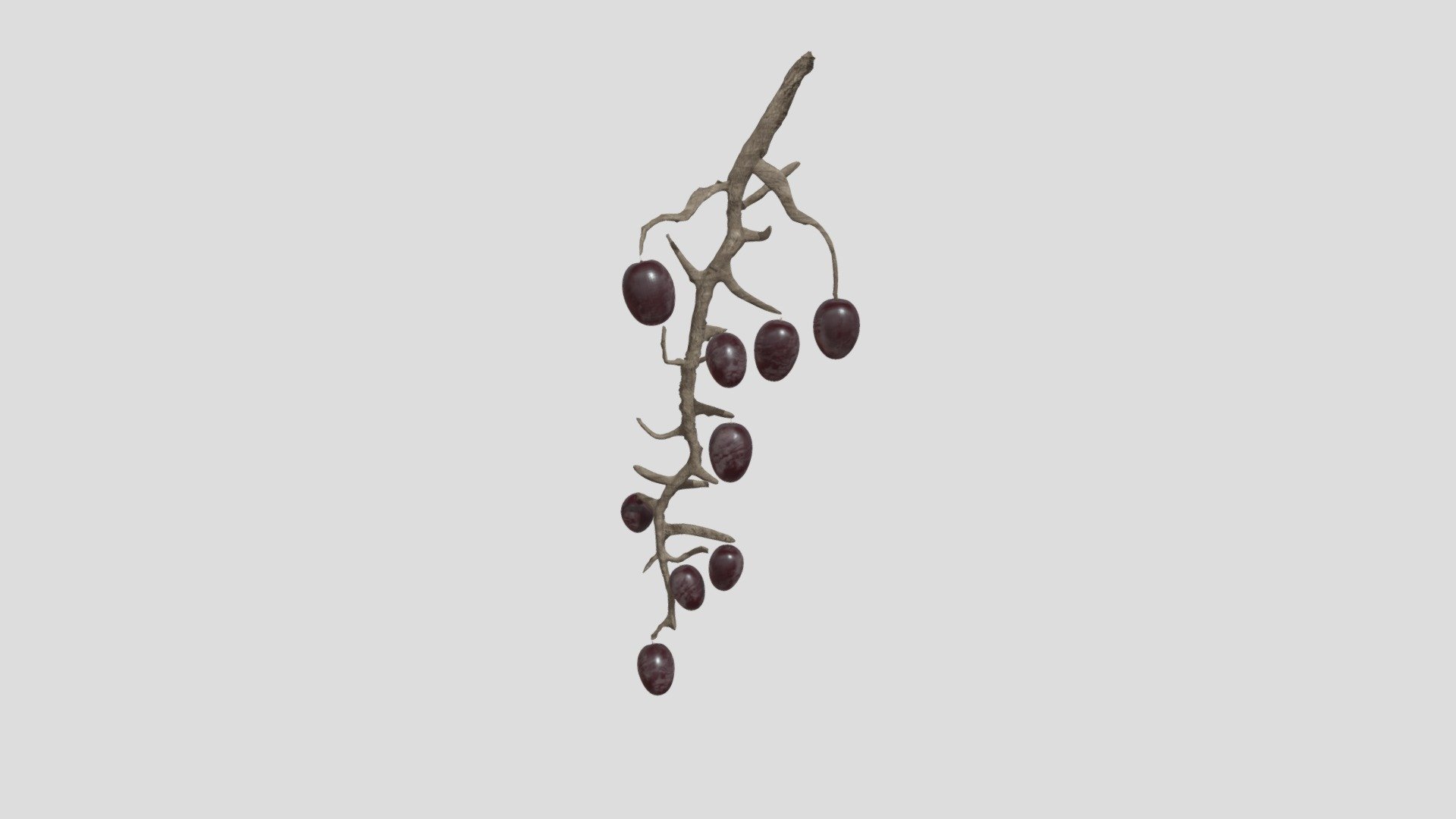 Grapes - Download Free 3D model by MacDrawz [cc47277] - Sketchfab