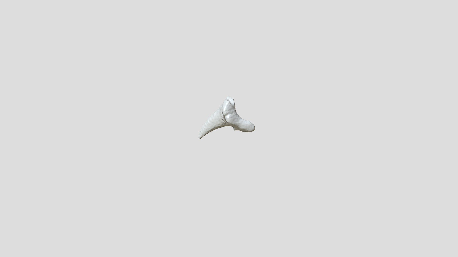 Shark Teeth - Download Free 3D model by 3DMakerpro [cc4ebe0] - Sketchfab