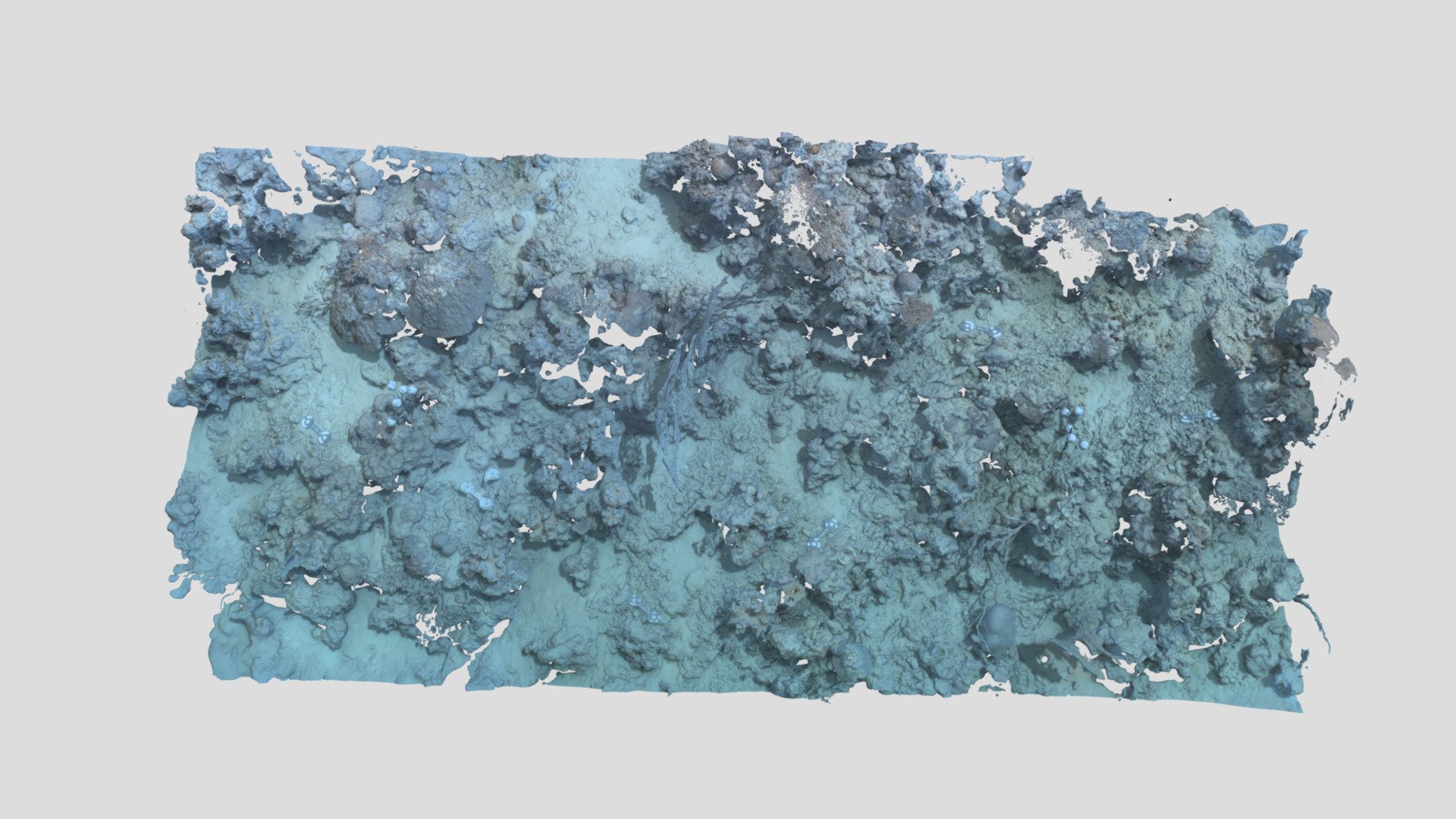 Masig_FR2D_P3_202104 - Download Free 3D model by EcoRRAP (@AIMSEcoRRAP ...