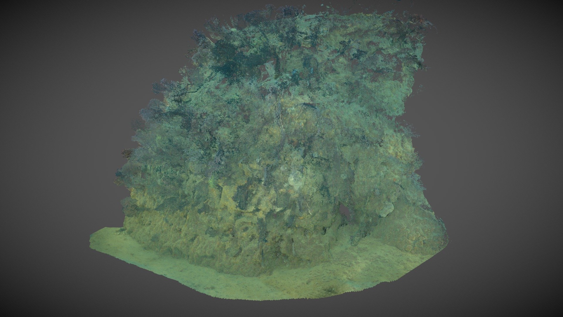 Punta Manara project - Day 1 - Demper Wall - 3D model by Reef Alert ...