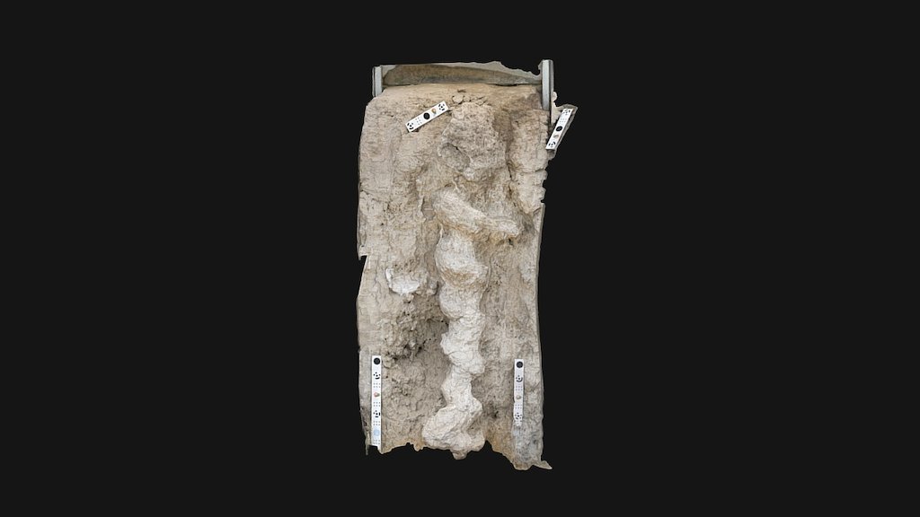 Daemonelix fossil - Download Free 3D model by National Park Service ...