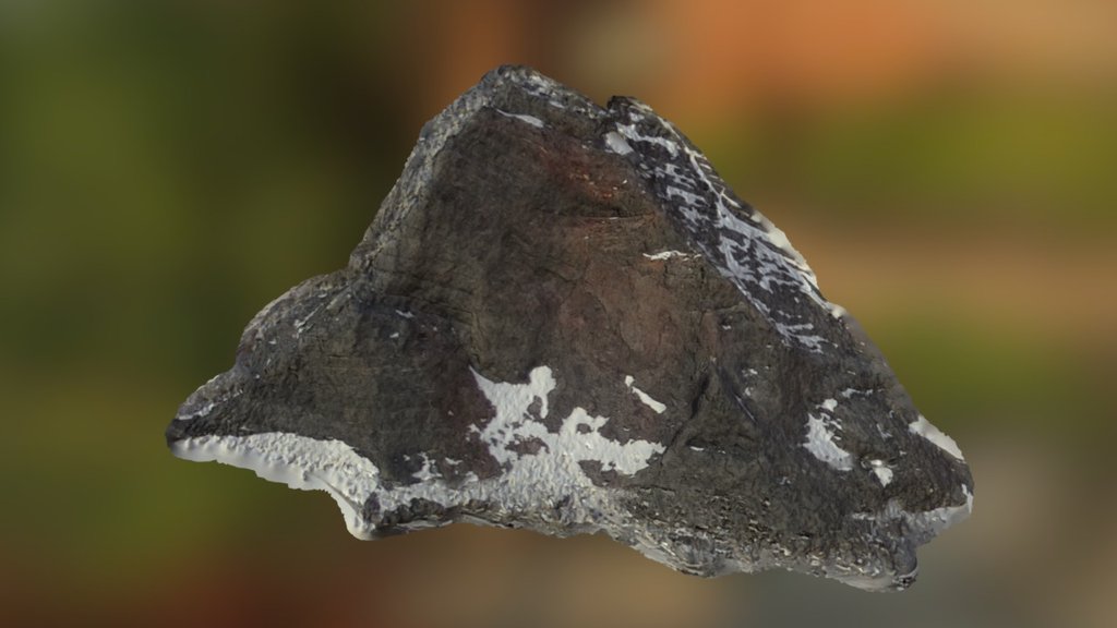Ind Hills Big Scar - 3D model by matt.westoby [cc669ea] - Sketchfab