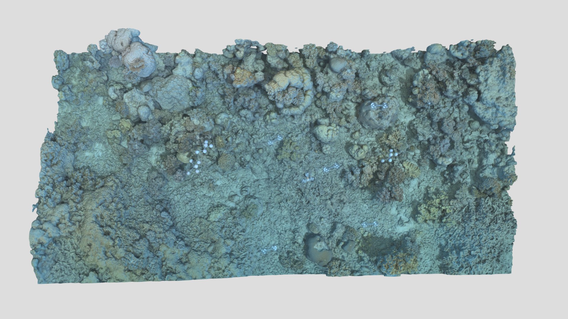 Masig_FR1S_P1_202302 - Download Free 3D model by EcoRRAP (@AIMSEcoRRAP ...