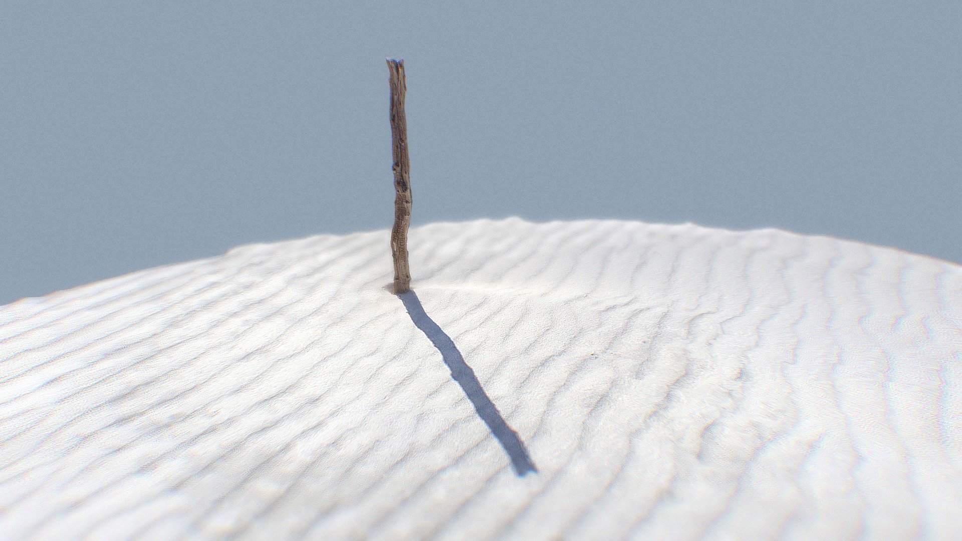Desert stick - 3D model by SenYul [cc6f19f] - Sketchfab