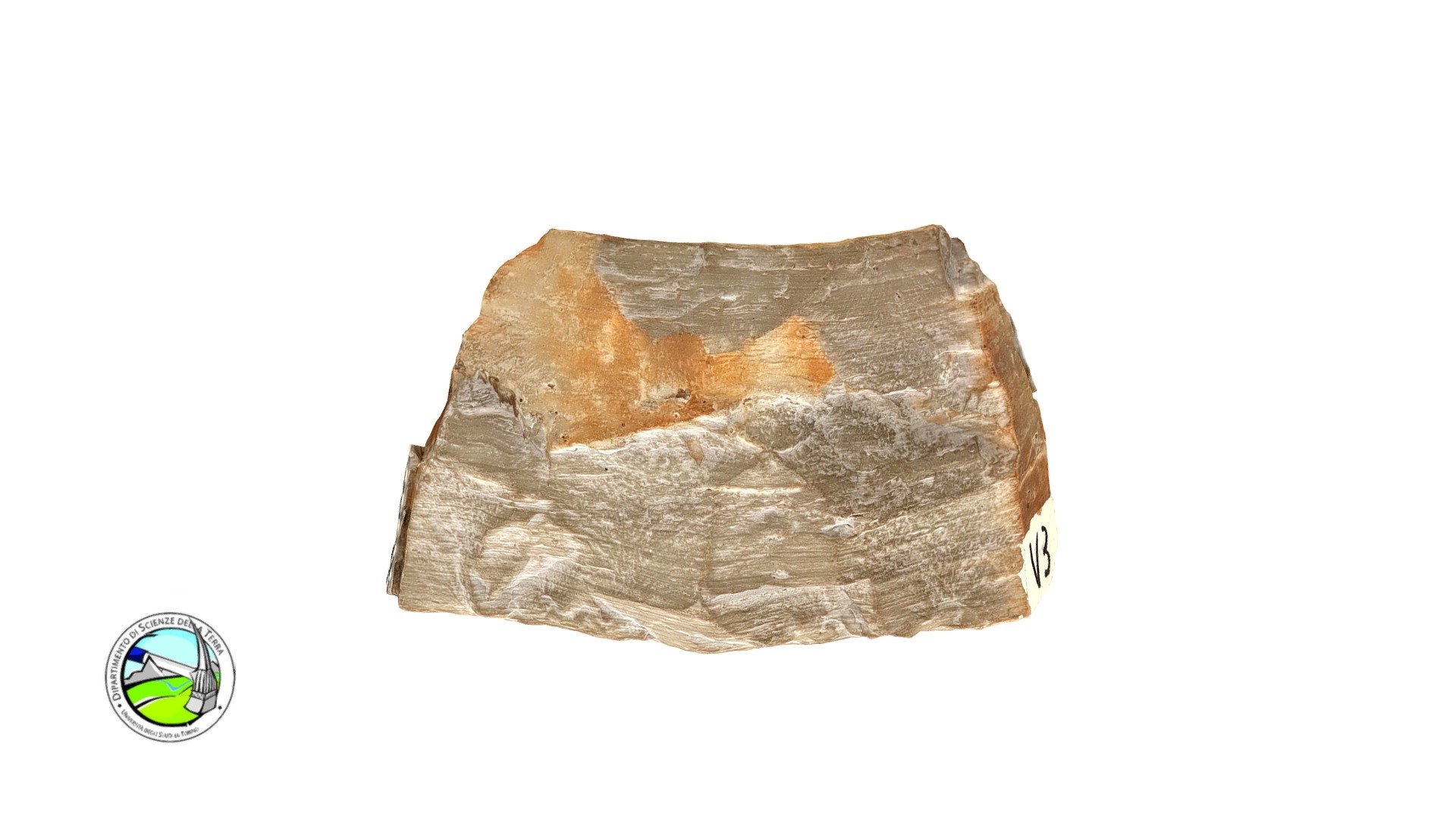 V3 - Riolite a tessitura eutassitica - 3D model by Dipartimento di ...