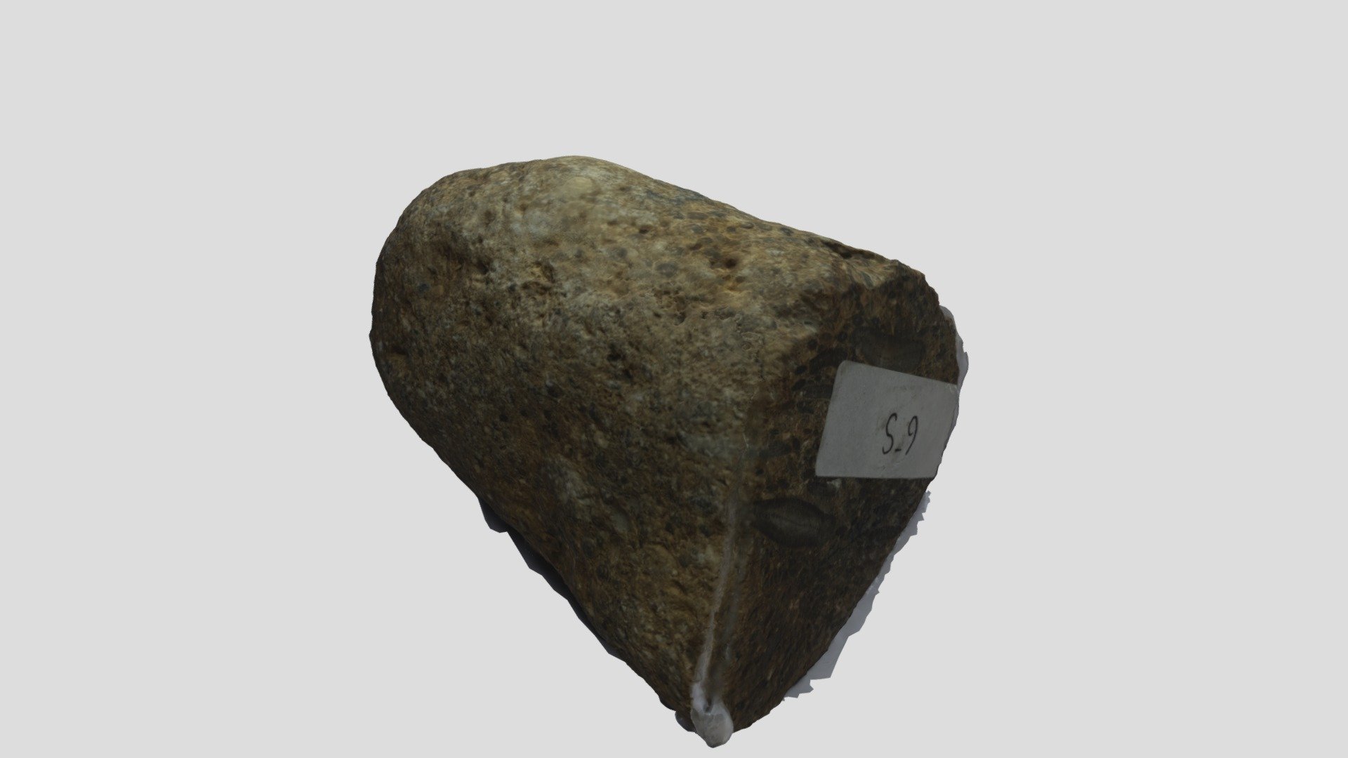 Rani Reihanati_ Sampel Batuan Sedimen S-9 - 3D model by rreihanati ...
