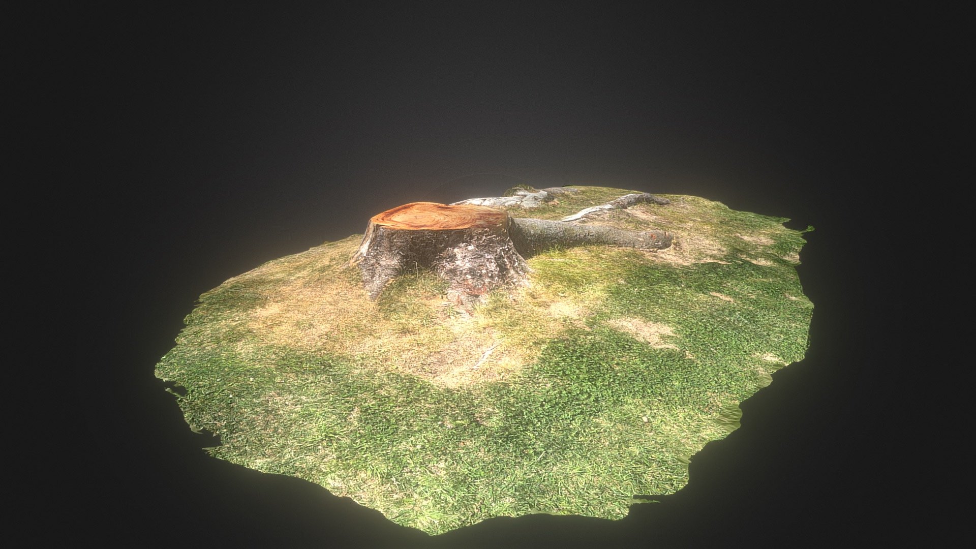 Stump - Download Free 3D model by Hiroki Sakamoto (@chiralarchitect ...