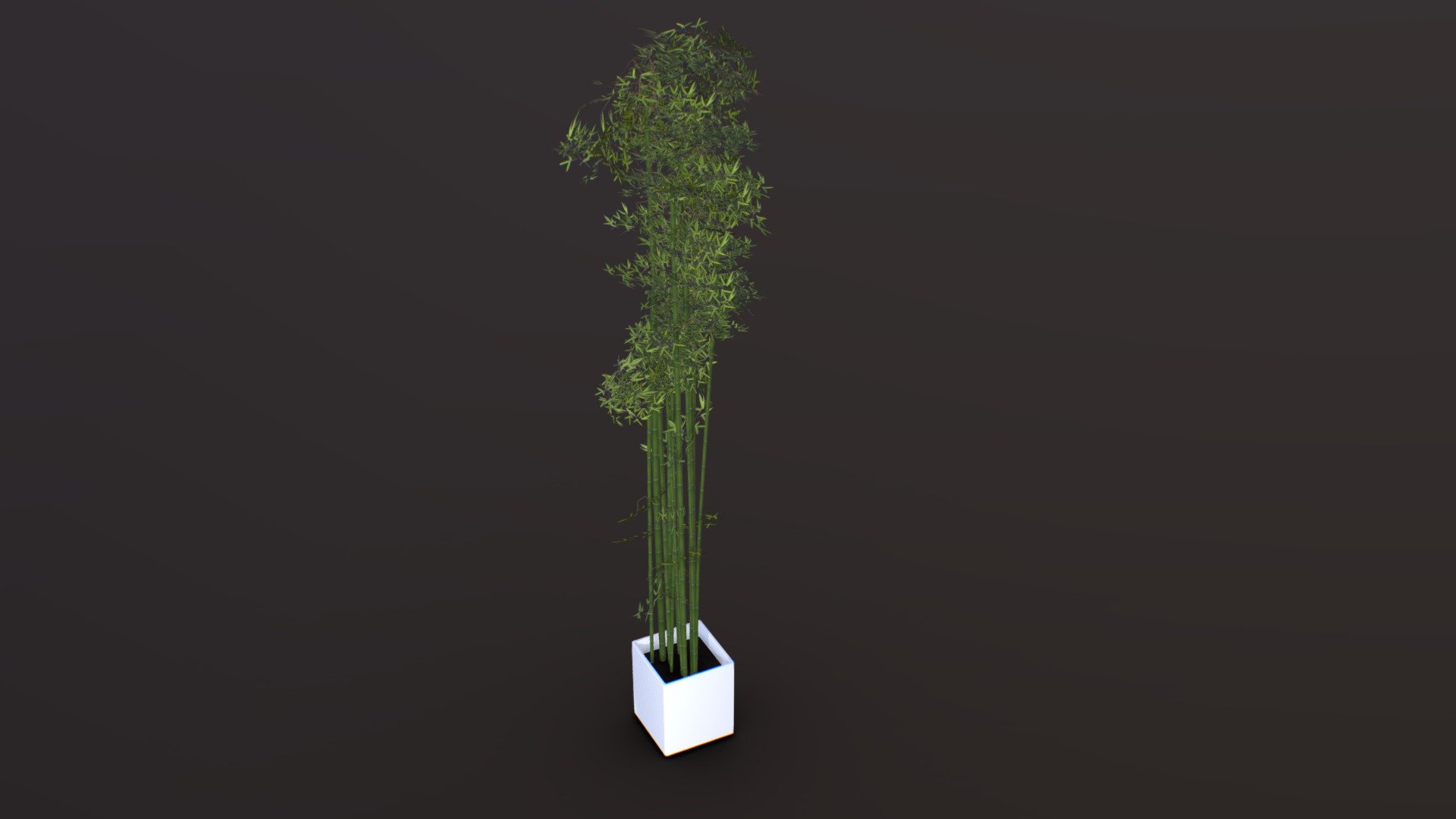 Realistic Bamboo Plant - Buy Royalty Free 3D model by ÆON (@xaeon ...