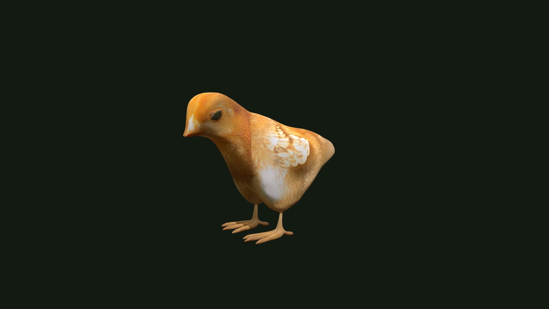 Chick - Download Free 3D model by kenchoo [cc8501e] - Sketchfab