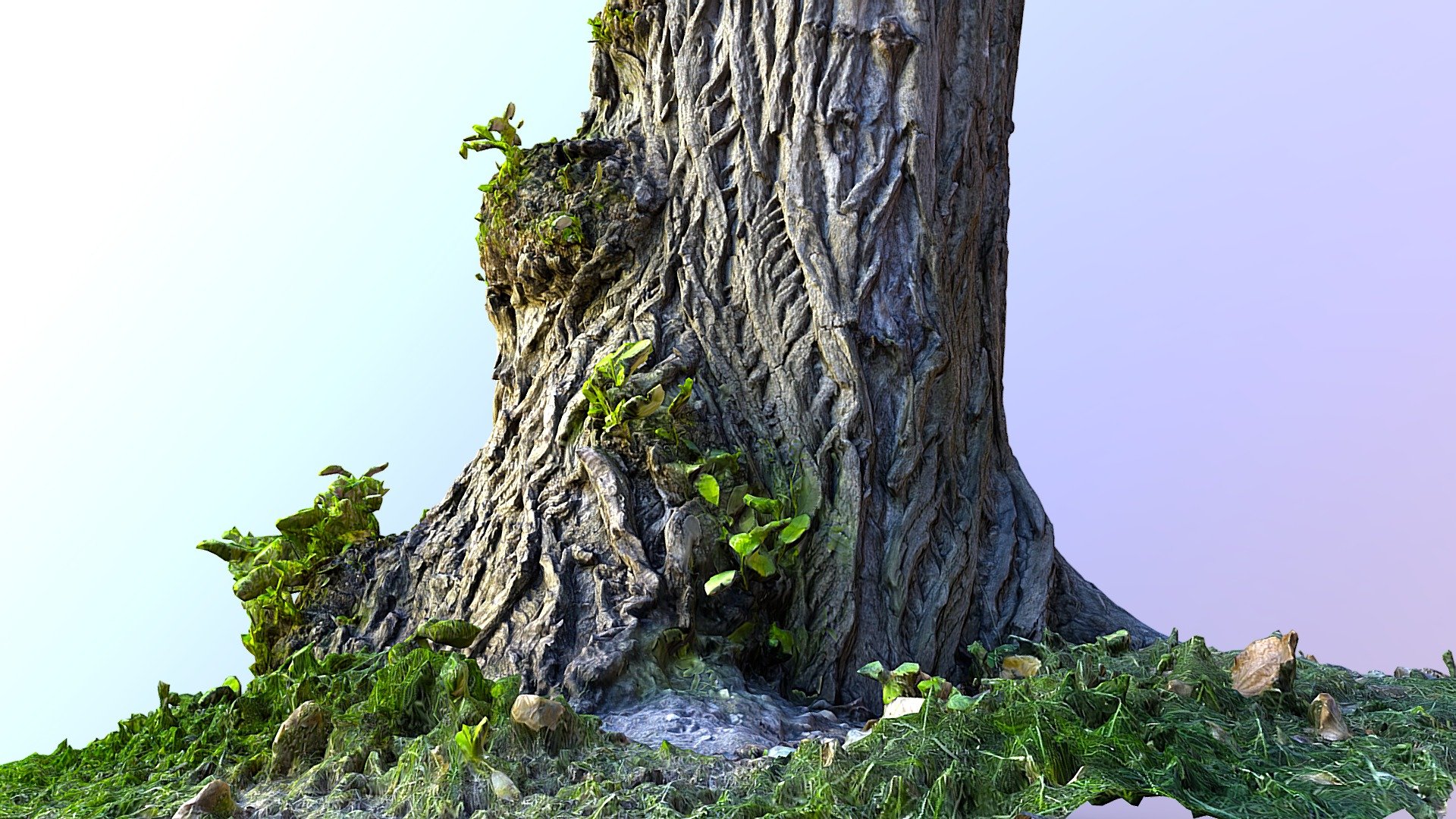New Branches On An Old Tree - Buy Royalty Free 3D model by Foto Retina ...