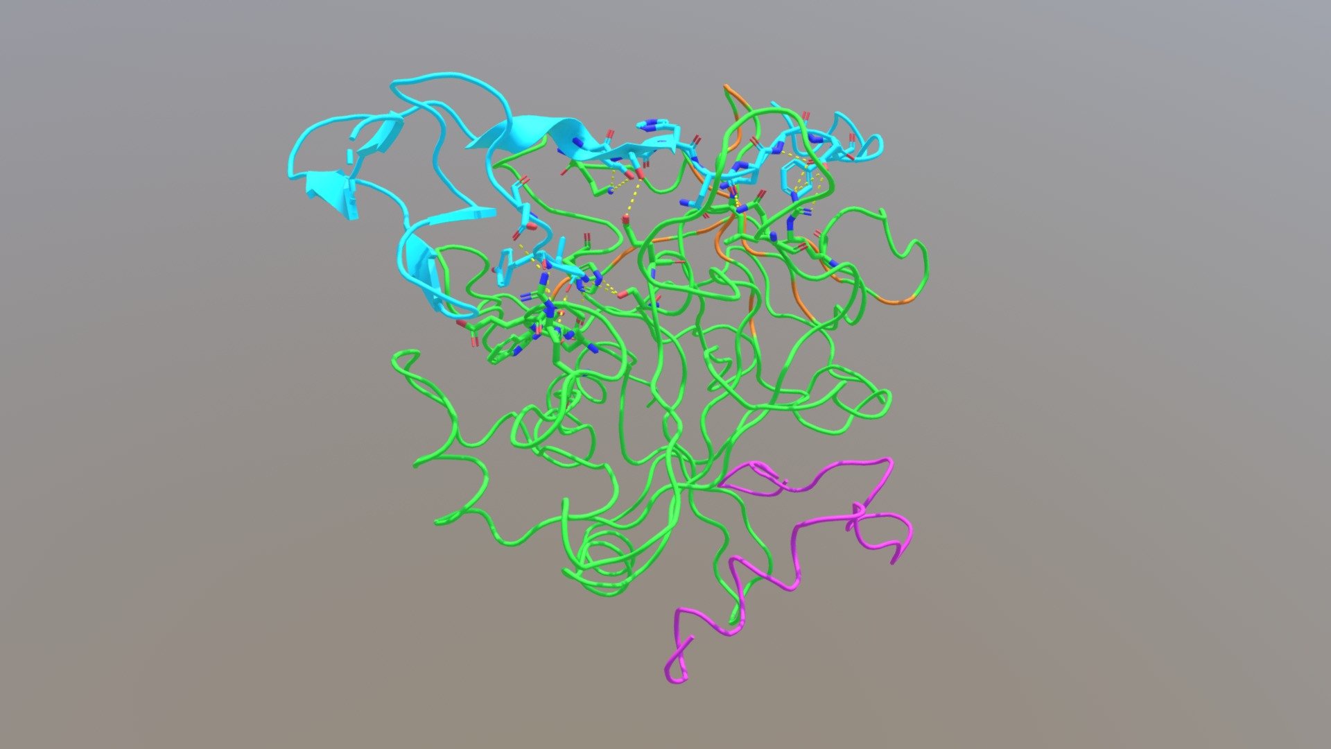 Features of the Thrombin-Hirudin Complex - 3D model by gkob3701 ...
