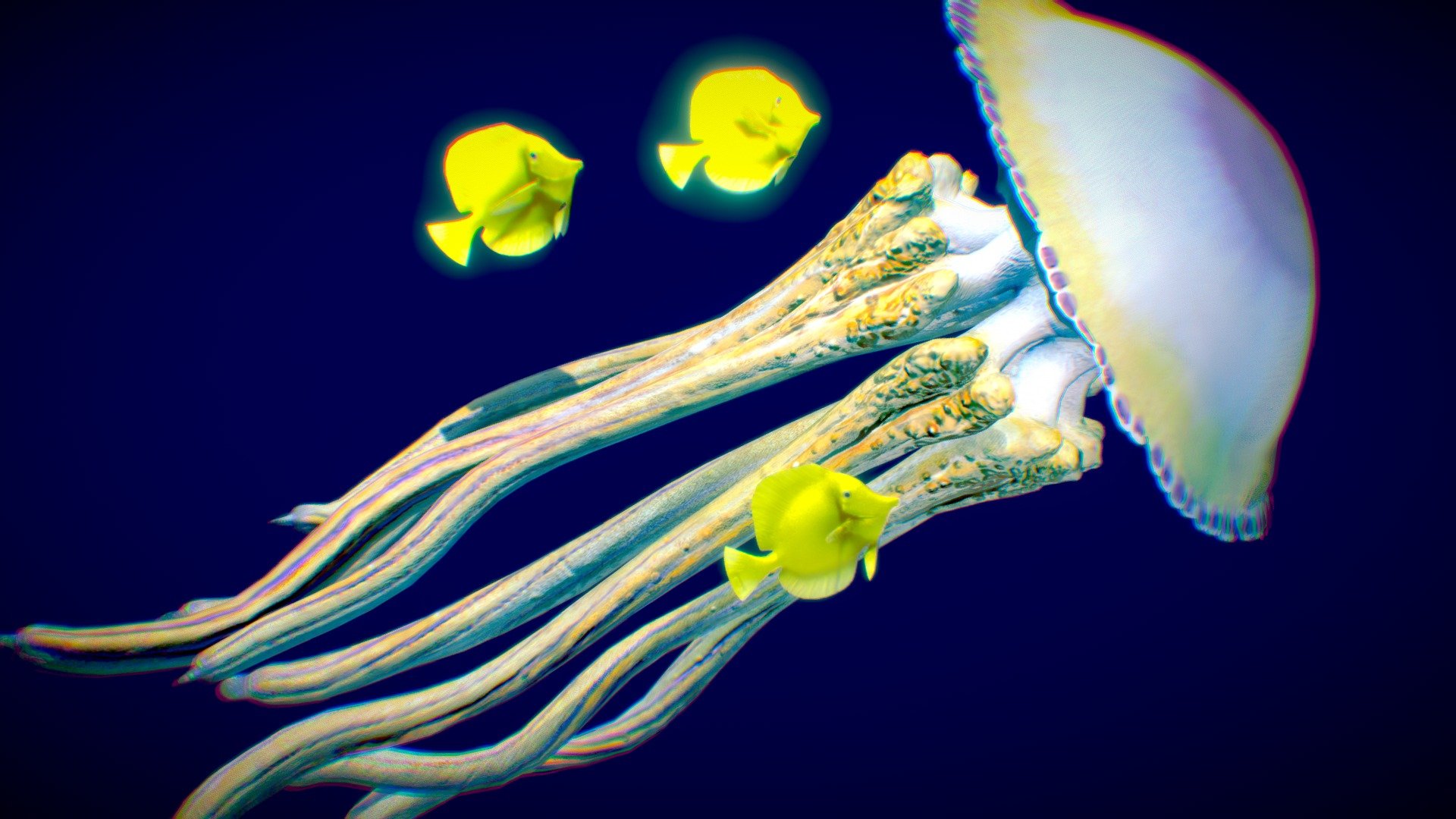 Pelagic Jellyfish - 3D model by Nestaeric [cc91642] - Sketchfab