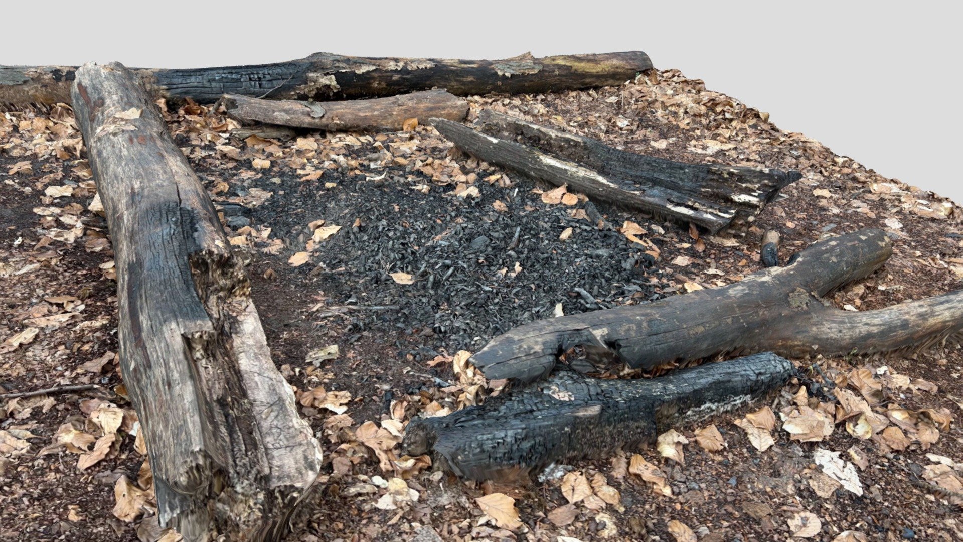 Campfire - Download Free 3D model by ScanMe [cc92ee0] - Sketchfab