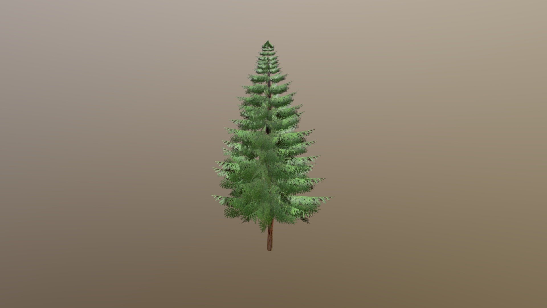 Fir Tree - 3D model by Meg Bells (@MegBells) [cc9ba21] - Sketchfab