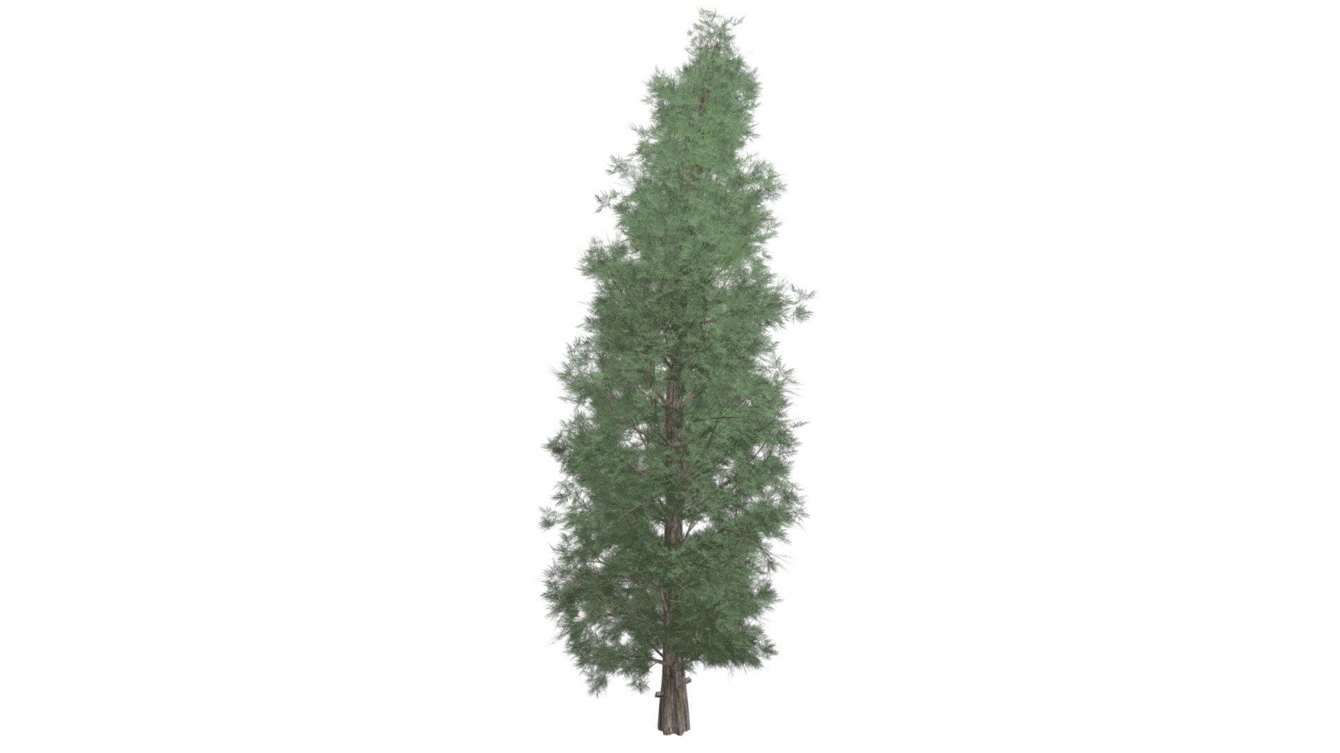 Eastern Red Cedar Tree #04 - Buy Royalty Free 3D model by meshshape ...