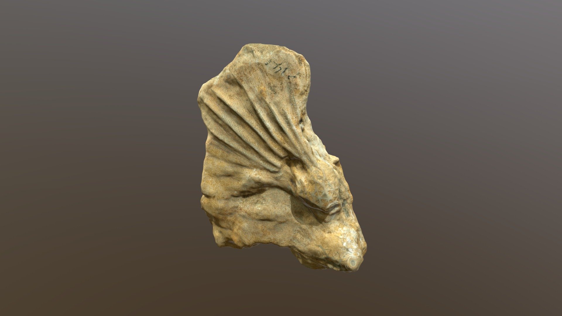 Glyptocrinus dyeri - Buy Royalty Free 3D model by Shellie Luallin ...