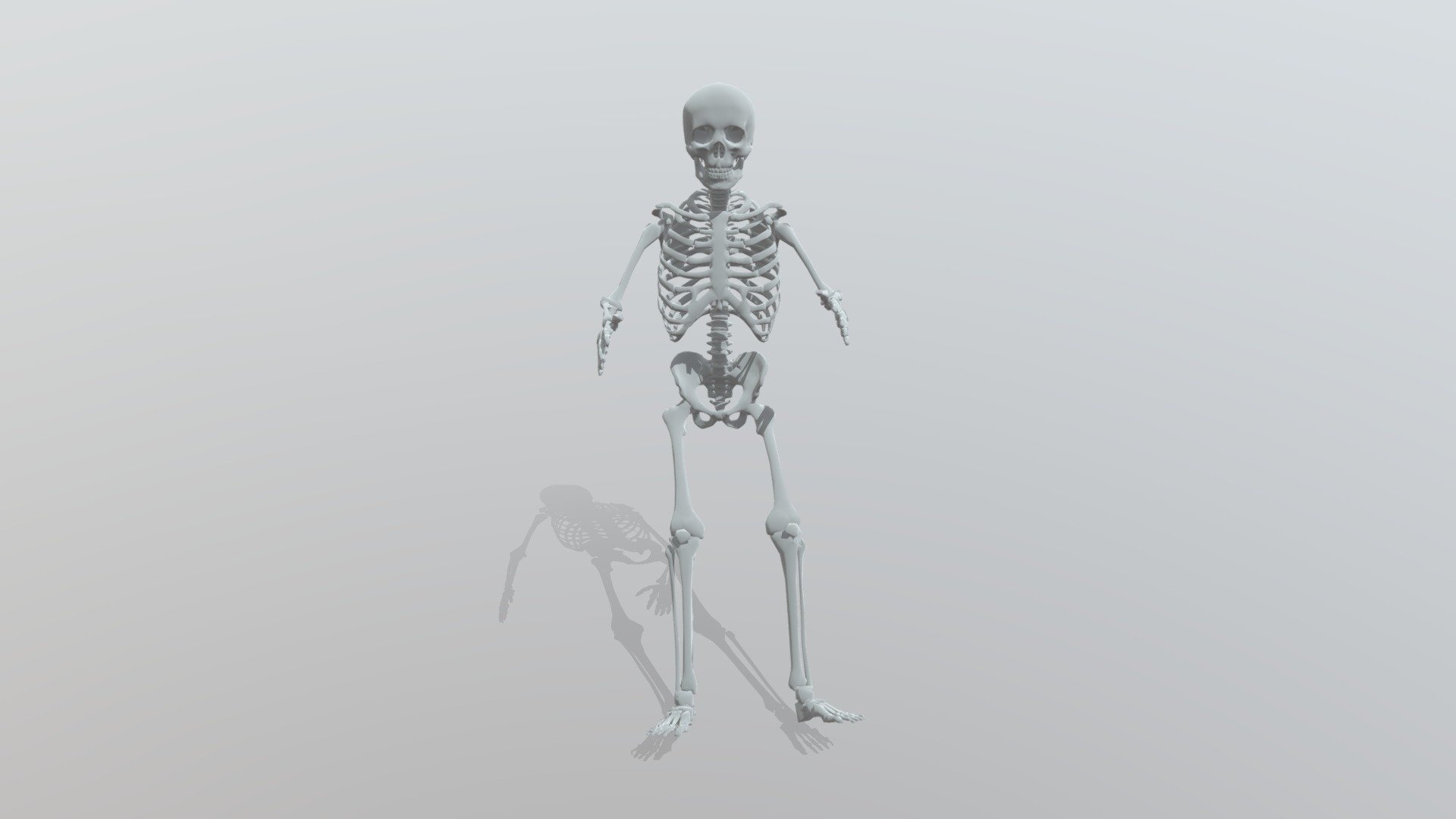 Skeleton_02 - Download Free 3D model by ImmaculatePoison [cca4a4d ...