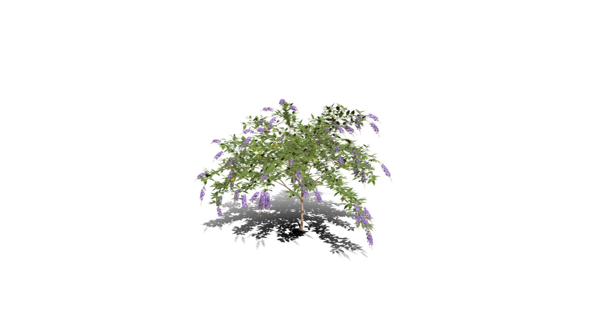 Realistic HD Golden dewberry (7/20) - Buy Royalty Free 3D model by ...