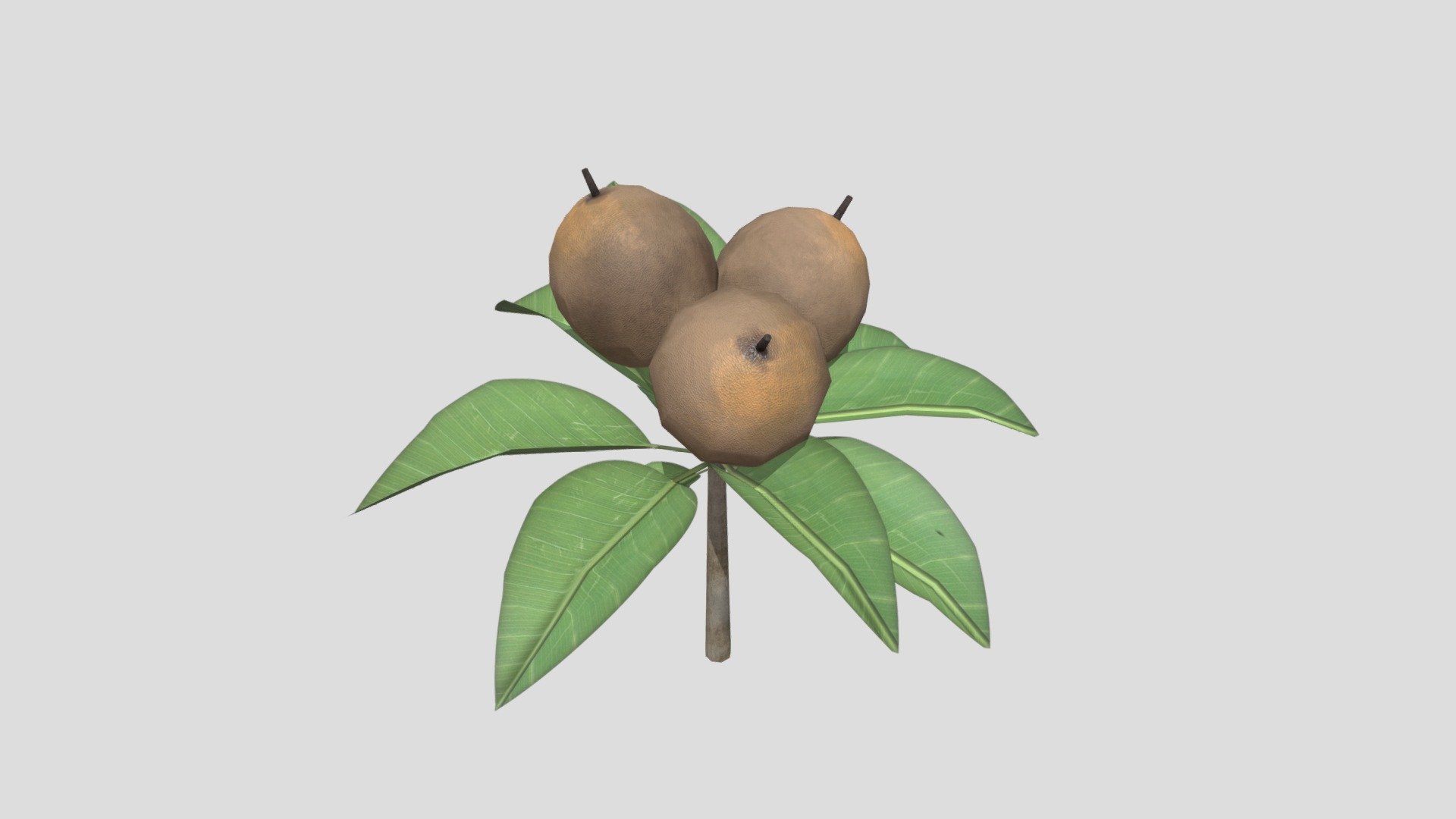 Ciku201222 - 3D model by vahnessa [cca9abf] - Sketchfab