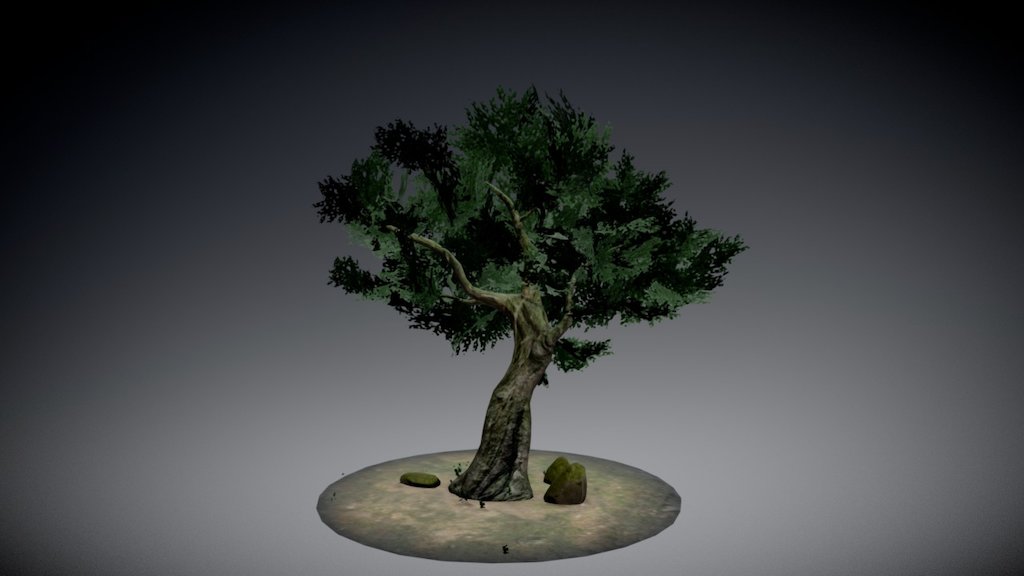 Tree and Rocks - Download Free 3D model by Lauren H. McKenzie (@revois ...