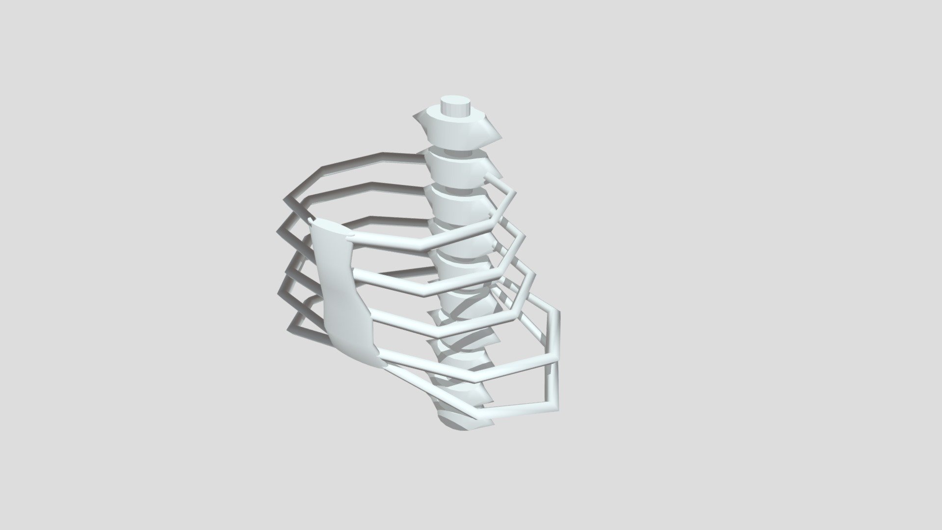 Ribs - Download Free 3D model by bee_300 [ccbb42d] - Sketchfab