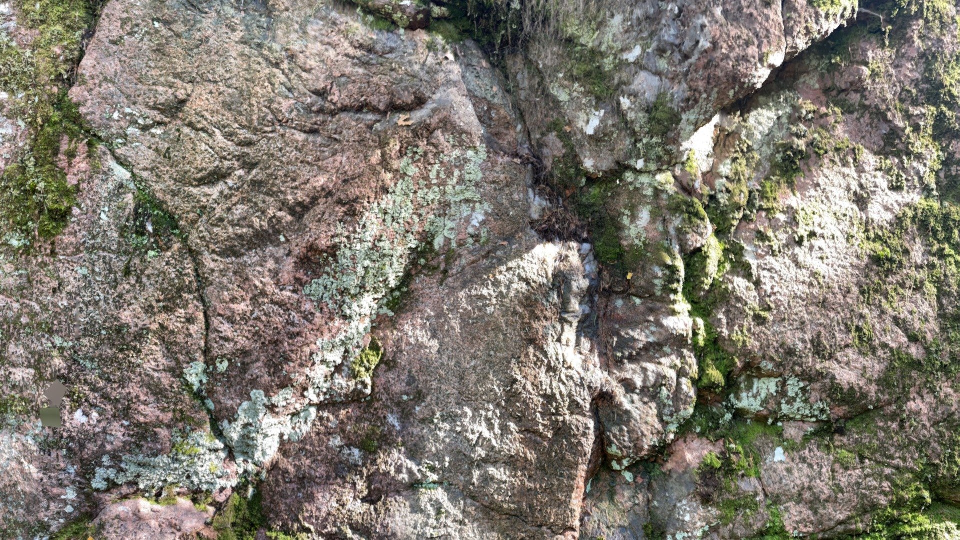 Cliff - Forest - Download Free 3D model by Majzim [ccbb523] - Sketchfab