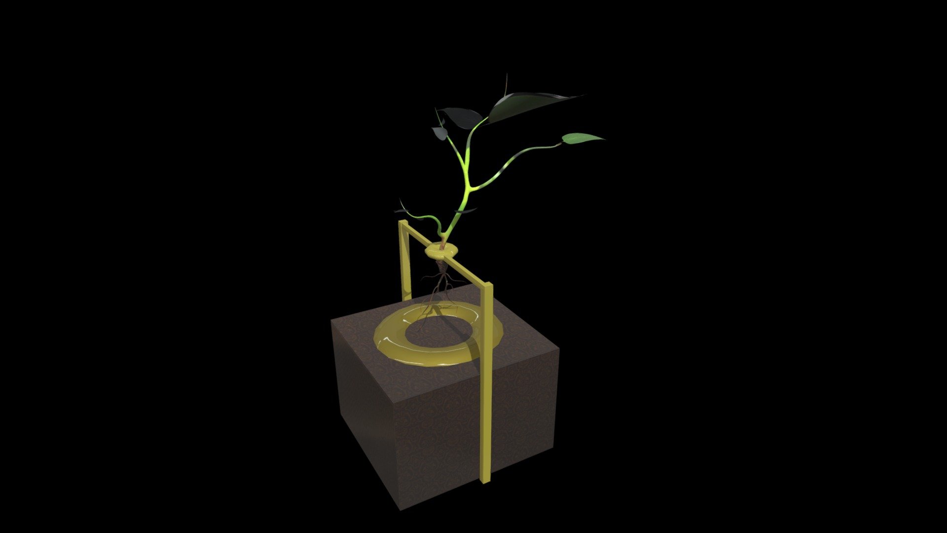 Test Plant Exp1 - 3D model by rkolli [ccbcab7] - Sketchfab