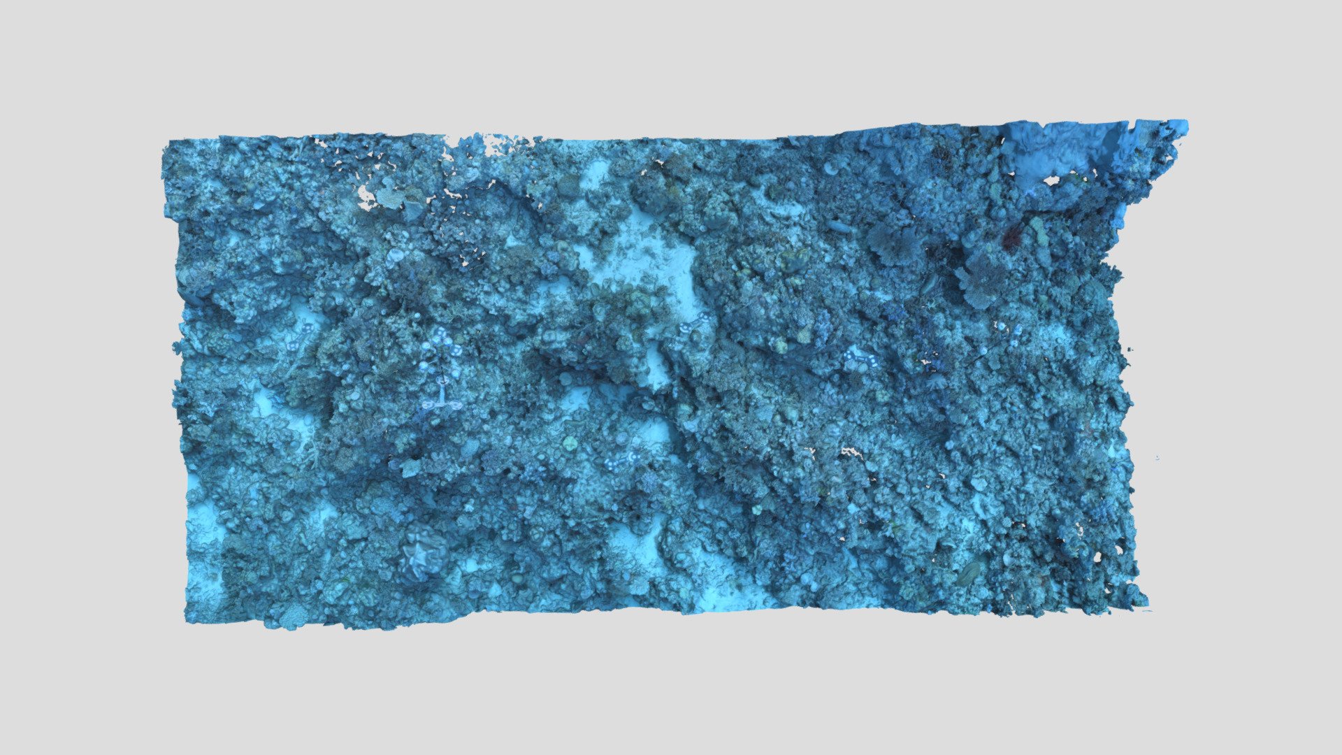 Davies_FL1D_P2_202101 - 3D model by EcoRRAP (@AIMSEcoRRAP) [ccc33bd ...