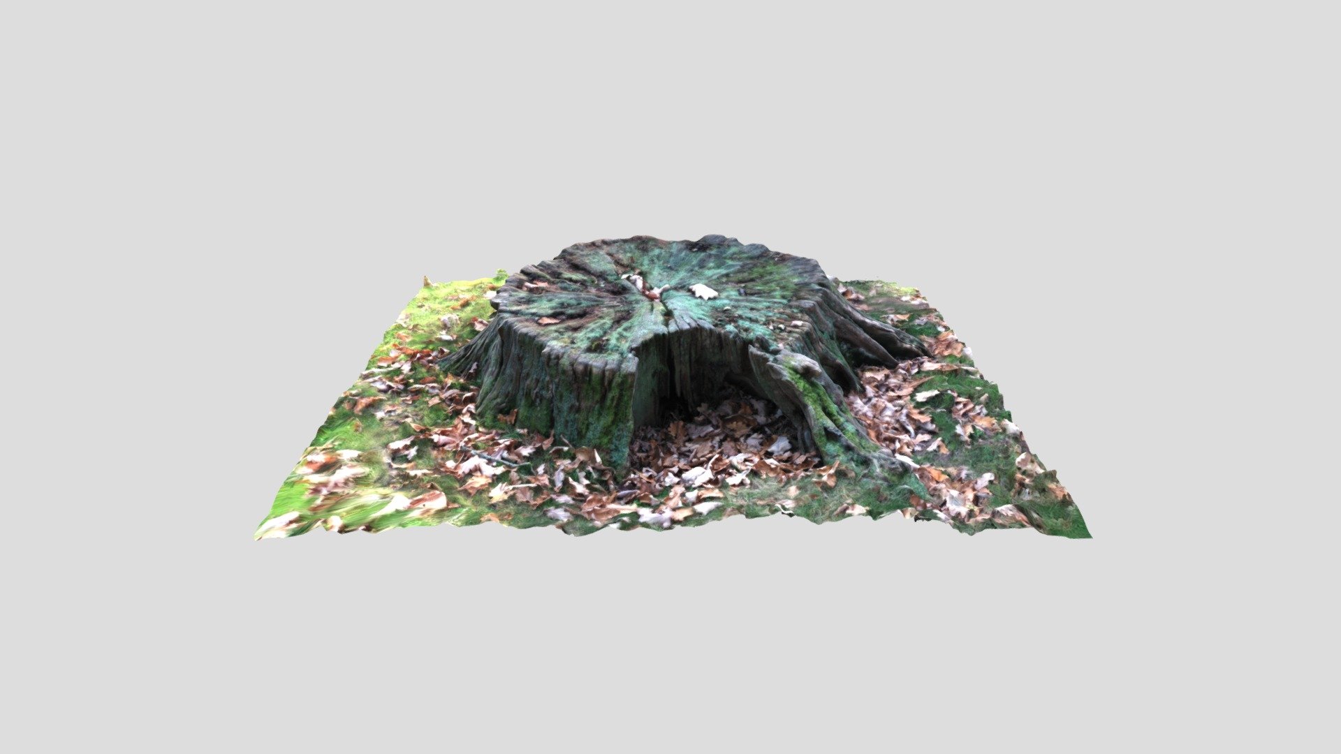 University of Exeter DH Labs Tree Stump - 3D model by DHSamHarvey ...